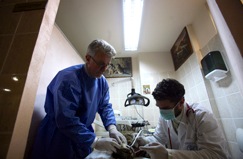 ΟΓΚΟΛΟΓΙΚΟ -vets.com.gr - Παπαιωάννου Κτηνίατροι. Κτηνιατρικές κλινικές ...