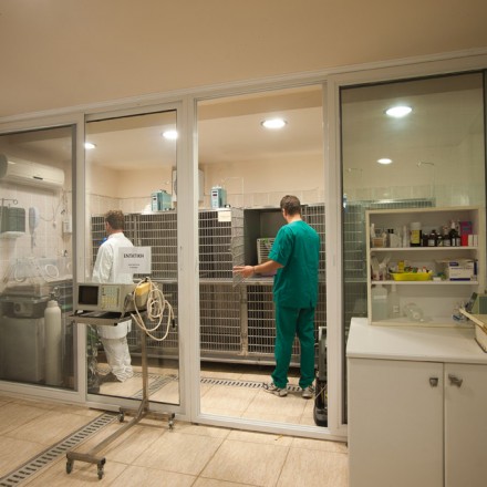 ΕΠΕΙΓΟΝΤΑ ΠΕΡΙΣΤΑΤΙΚΑ- vets.com.gr - Παπαιωάννου Κτηνίατροι ...